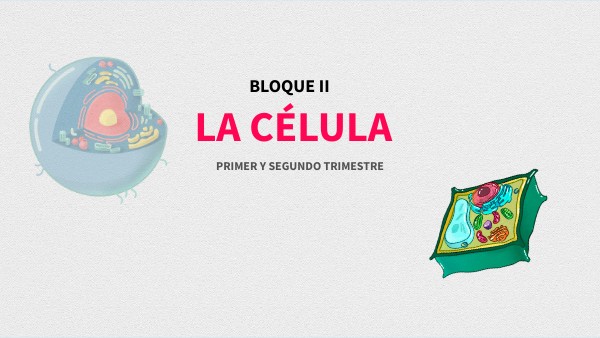 Bloque II | Genially