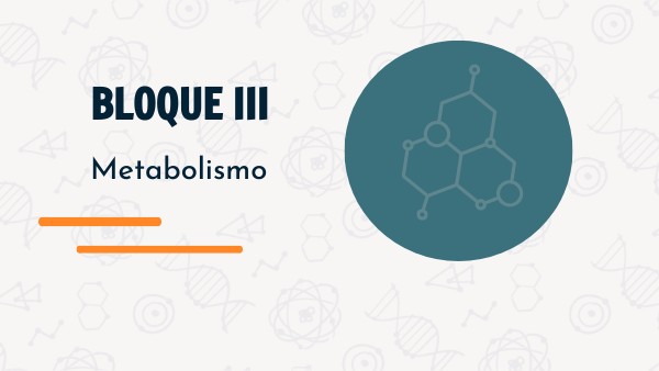 Bloque III | Genially