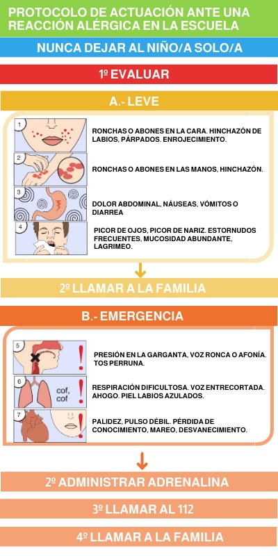 Infografía protocolo reacción alérgica | Genially