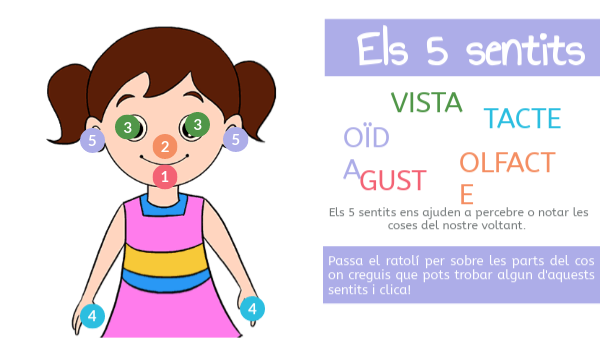 Els 5 sentits | Genially