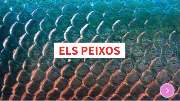 ELS PEIXOS | Genially