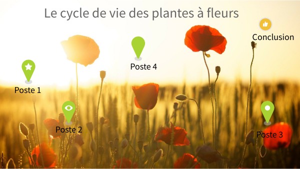 cycle de vie des plantes à fleurs