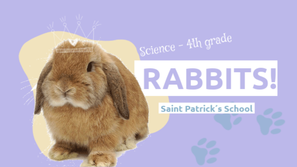 Rabbits and Hares | Genially