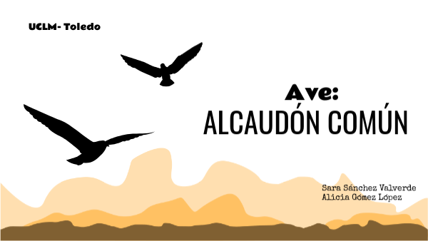 Alcaudón común | Genially
