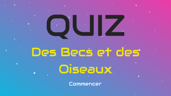 QUIZ : Des Becs et des Oiseaux | Genially
