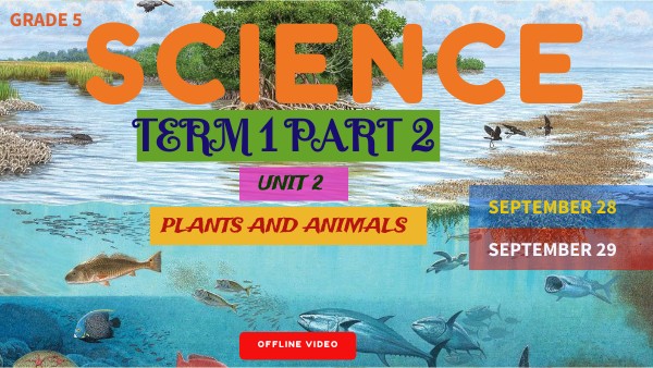 BOOK 113-114 129-130