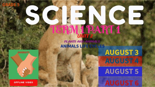 ANIMAL LIFE CYCLE AUGUST 2 - 6 | Genially