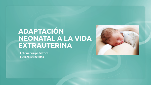 adaptación neonatal