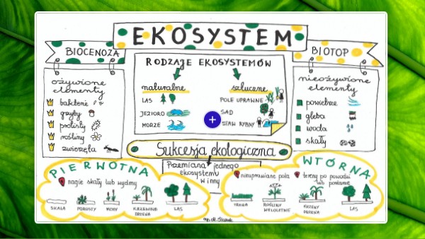 ekosystem