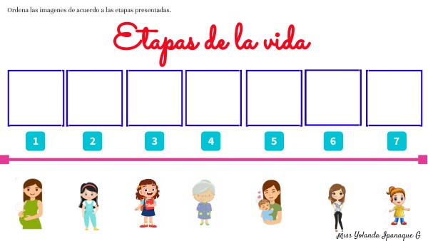 Ordenando-Etapas de la vida