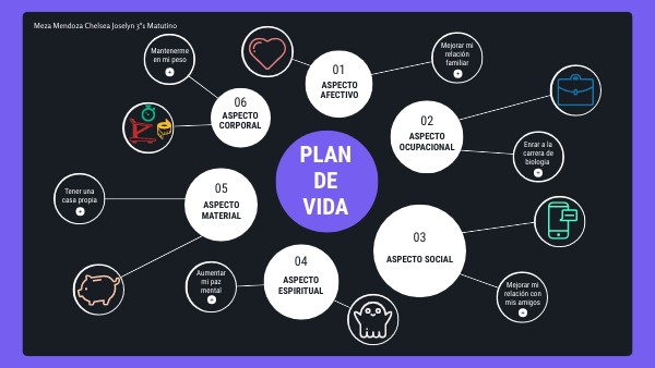 Plan de vida