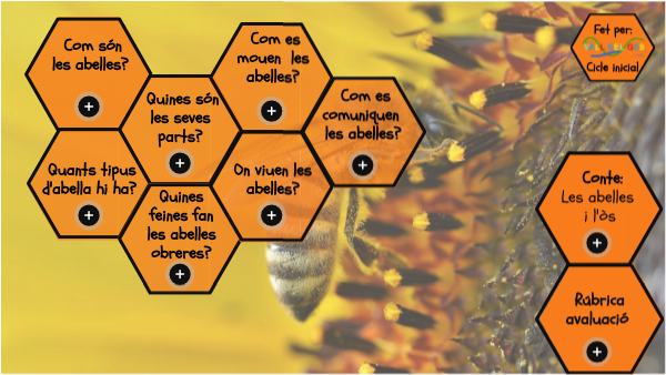 Abelles setmana 11 de maig