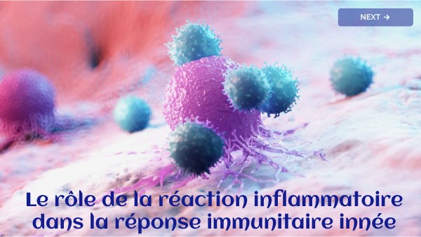TP_Réaction inflammatoire | Genially