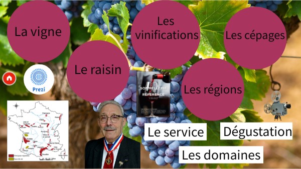 Le monde du vin | Genially