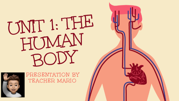 UNIT 1: THE HUMAN BODY | Genially