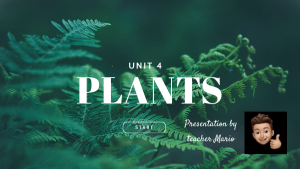 UNIT 4: PLANTS