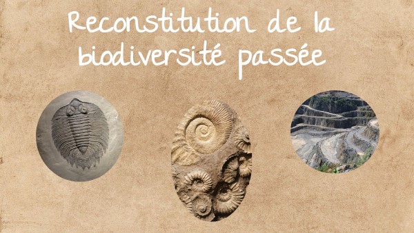 reconstitution biodiv passée | Genially