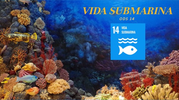 VIDA SUBMARINA ODS 14 | Genially