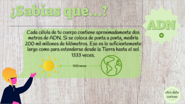 ¿Sabias que...? | Genially