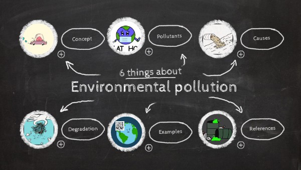 Environmental pollution p3