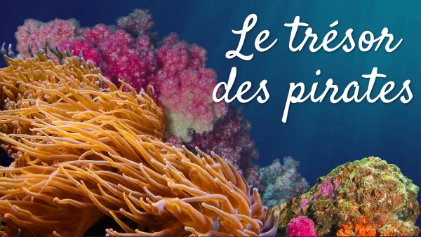 Le trésor des pirates | Genially
