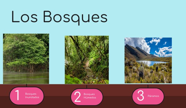 Los bosques | Genially