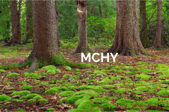 MCHY by Filip G | Genially