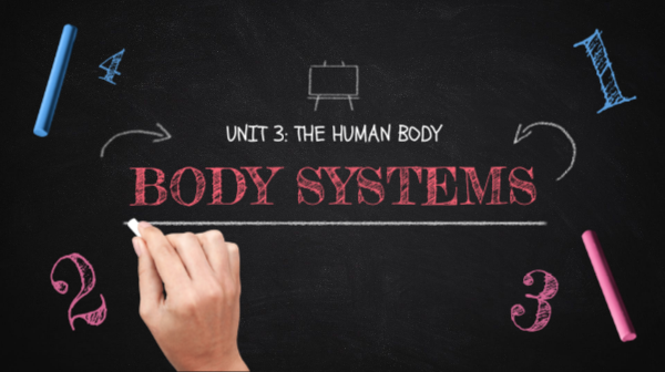 BODY SYSTEMS | Genially