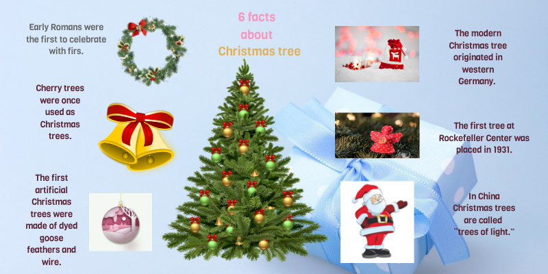Facts about Christmas tree | Genially