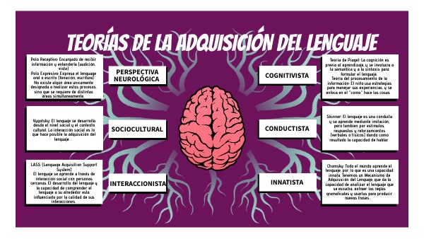 BRAIN MINDMAP | Genially