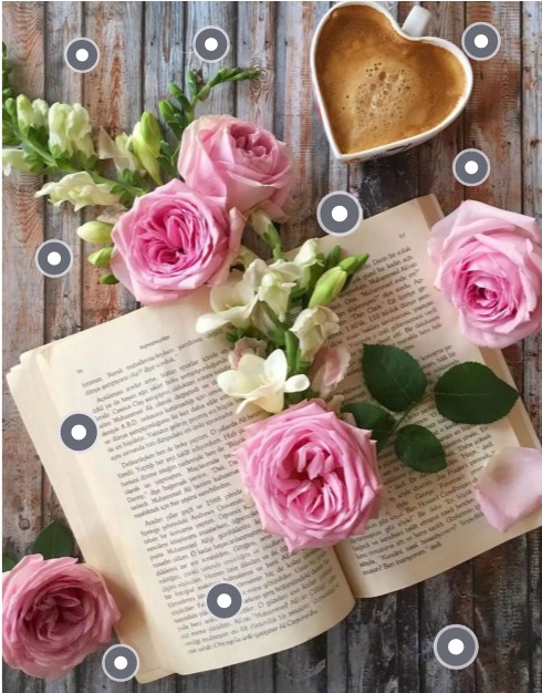 Lilly Butler ELA B5 | Genially