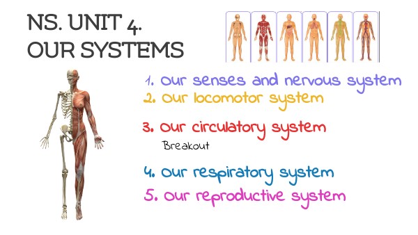 NSU4- OUR SYSTEM | Genially