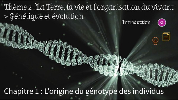 Chap 1 Génétique et évolution | Genially