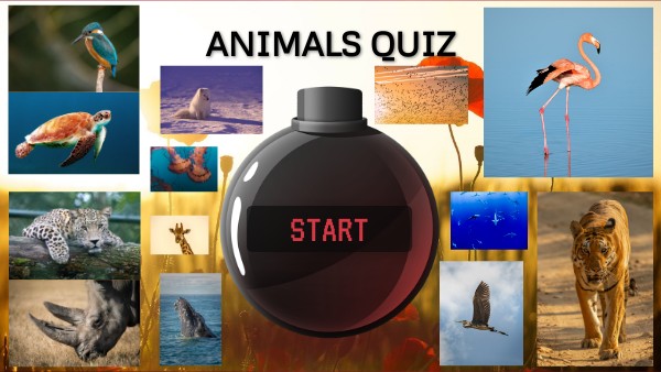 Animals quiz | Genially