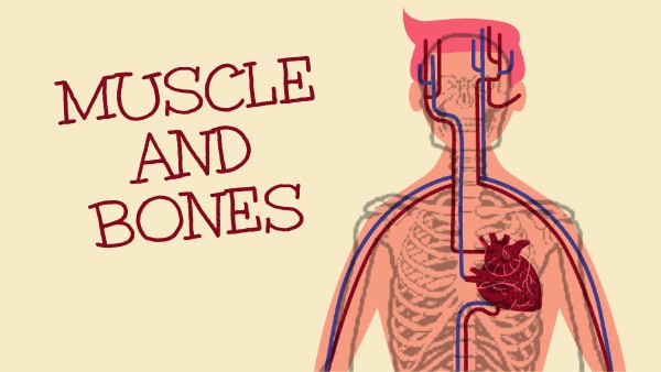 MUSCLES AND BONES | Genially