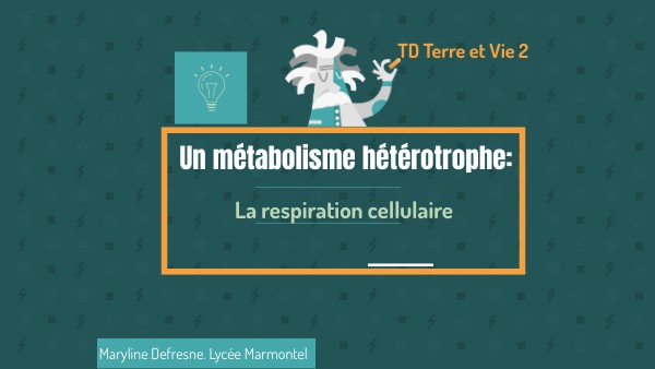 Un métabolisme hétérotrophe: la respiration cellulaire | Genially