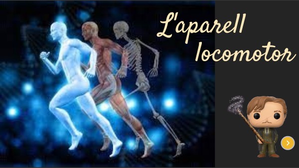 L'aparell locomotor | Genially