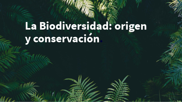 BIODIVERSIDAD 1 BACH | Genially
