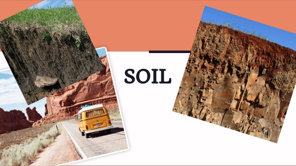 SOIL | Genially