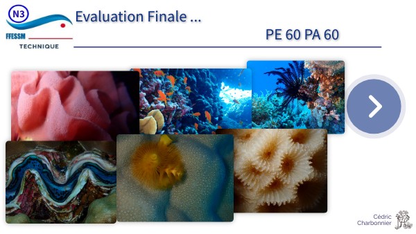 N3 Evaluation finale | Genially