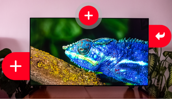 LG GX OLED