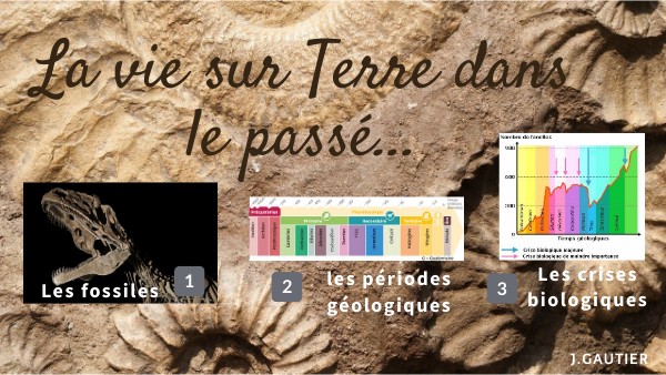 L'histoire de la vie sur Terre