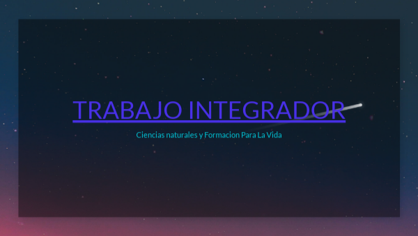 Trabajo Integrador