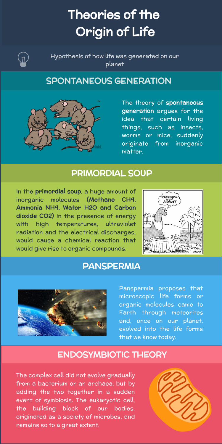 Origin of the Life | Genially