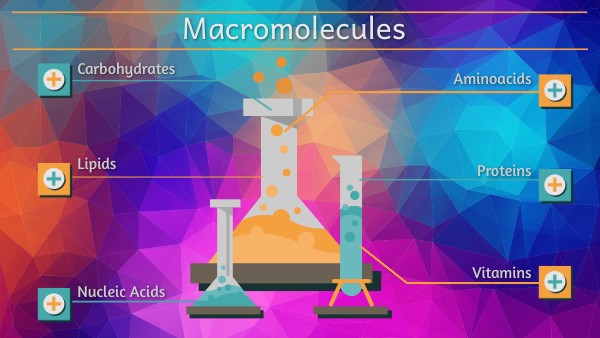 Macromolecules | Genially