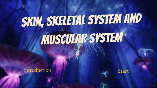 Skin, skeletal and muscular system