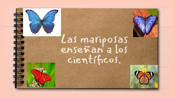 las mariposas enseñan a los científicos.