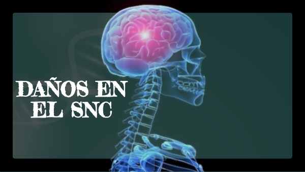 DAÑOS EN EL SNC | Genially