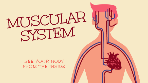 MUSCULAR SYSTEM | Genially
