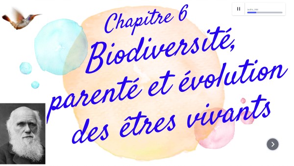 Biodiversité, parenté et évolution | Genially